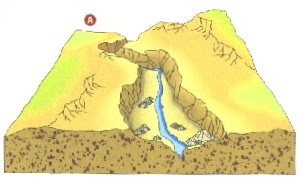 Visões da Terra (:: Diferentes tipos de Leitos :)